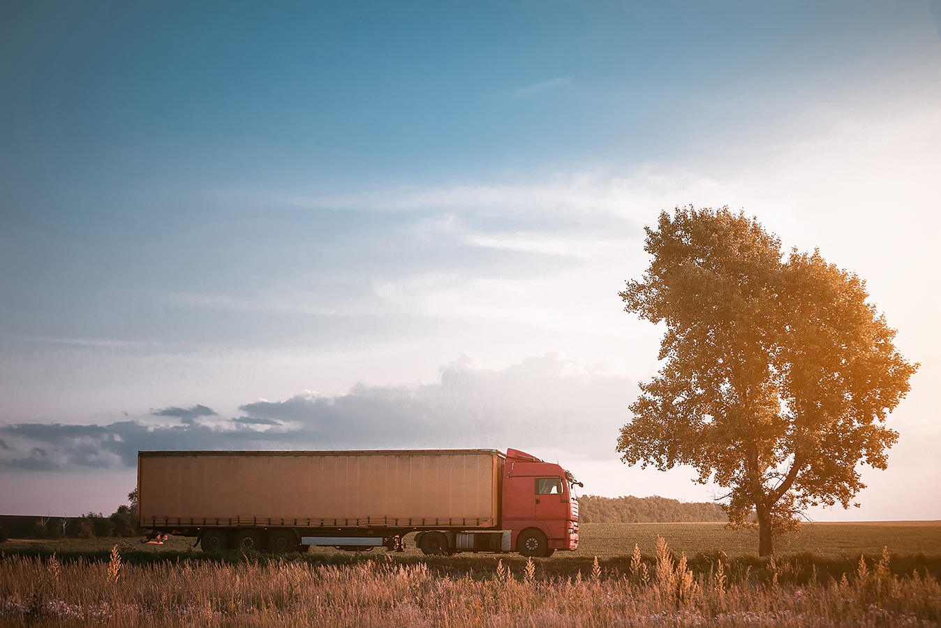 How Can Your Fleet Transition Away From Fossil Fuels?